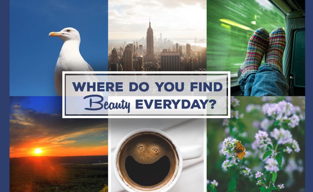 Join the FREE 14 Day Beauty in EVERYday Challenge | Kathleen Ann Thompson